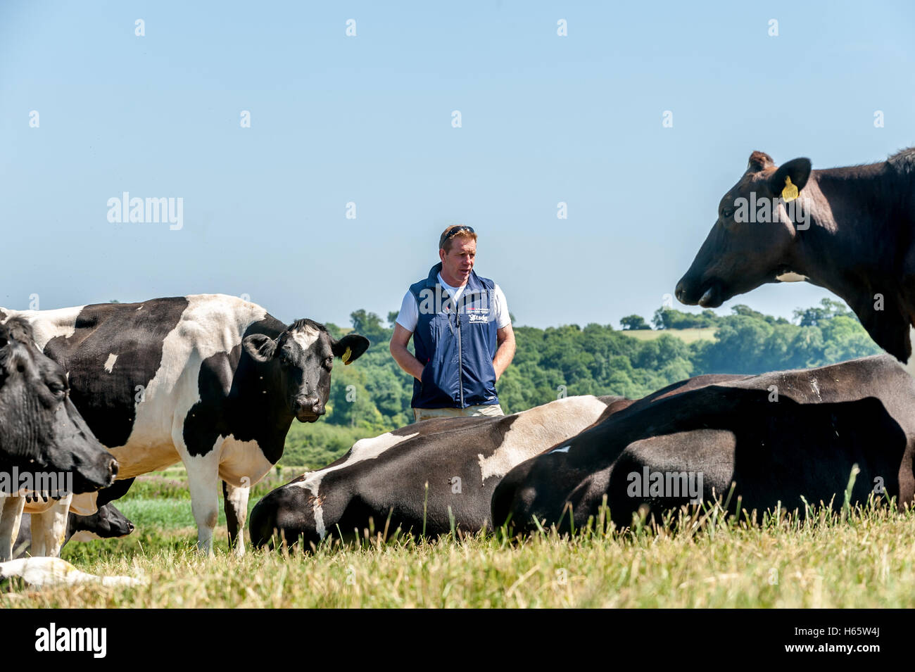 Haydon farm hi-res stock photography and images - Alamy