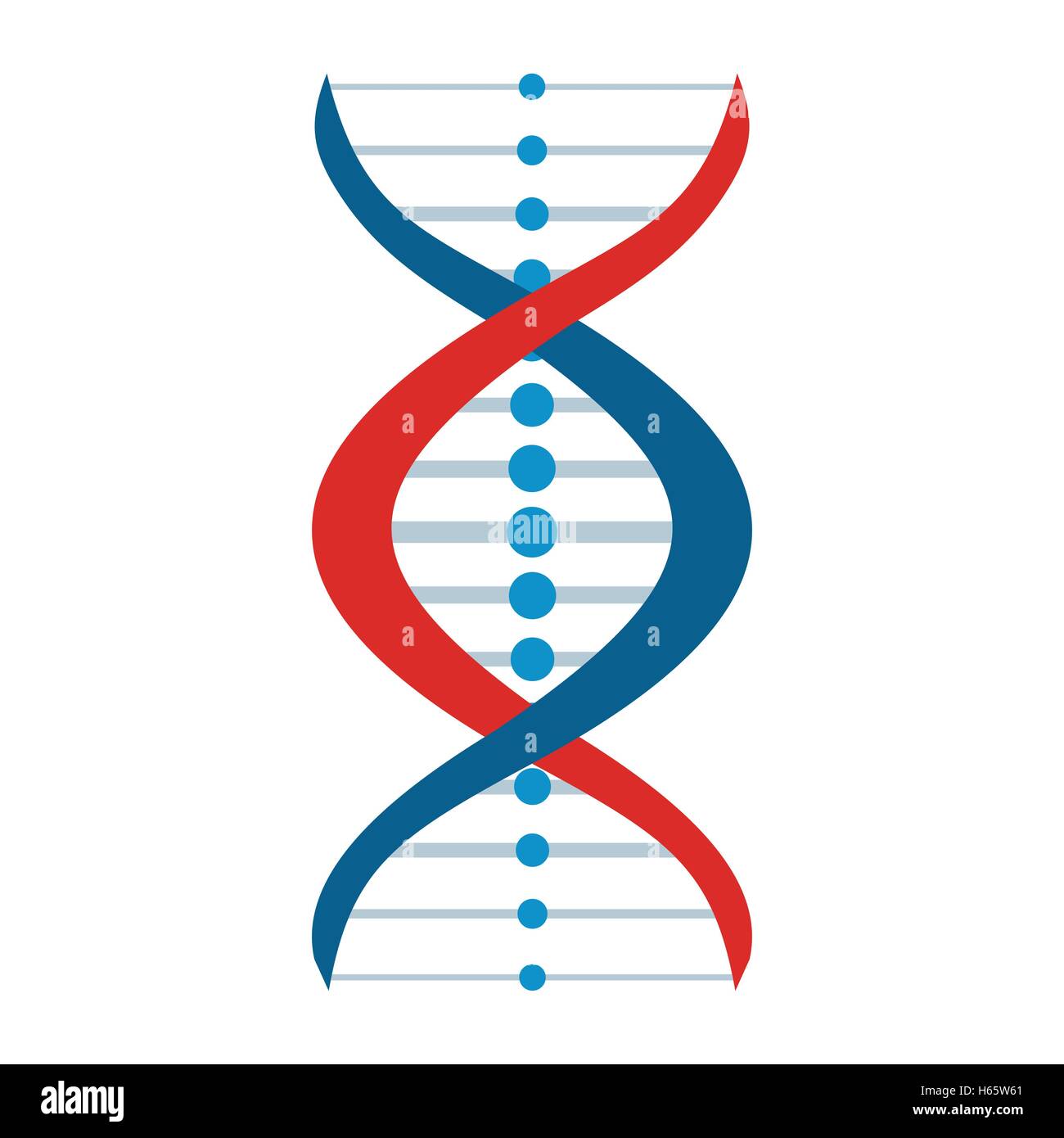 New DNA and molecule sign Stock Vector Image & Art - Alamy