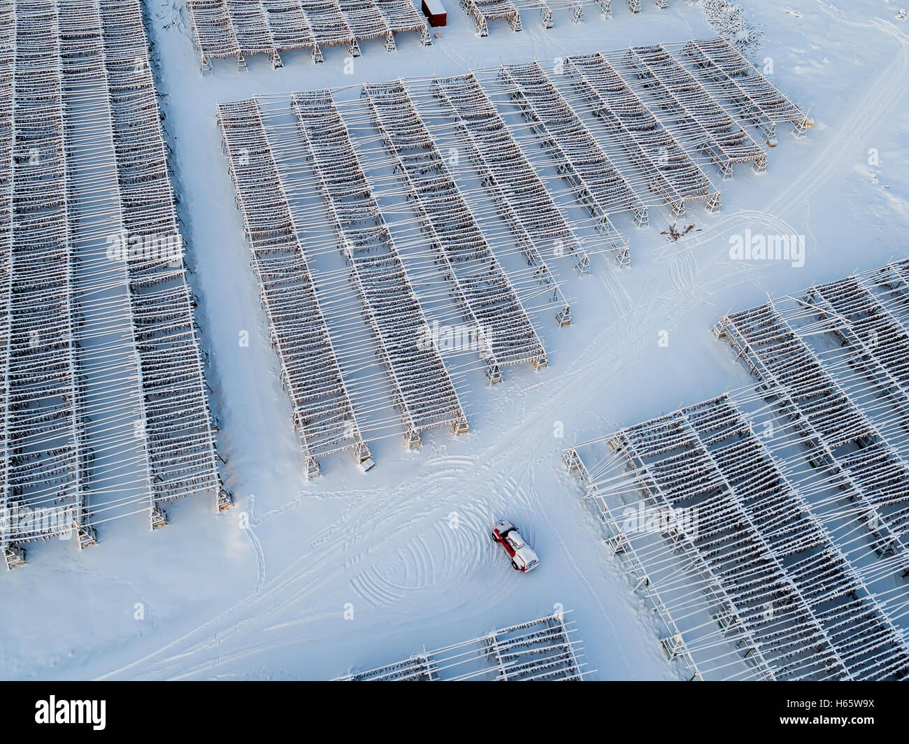 Top view of hanging fish drying in the open air, Reykjanes Peninsula ...