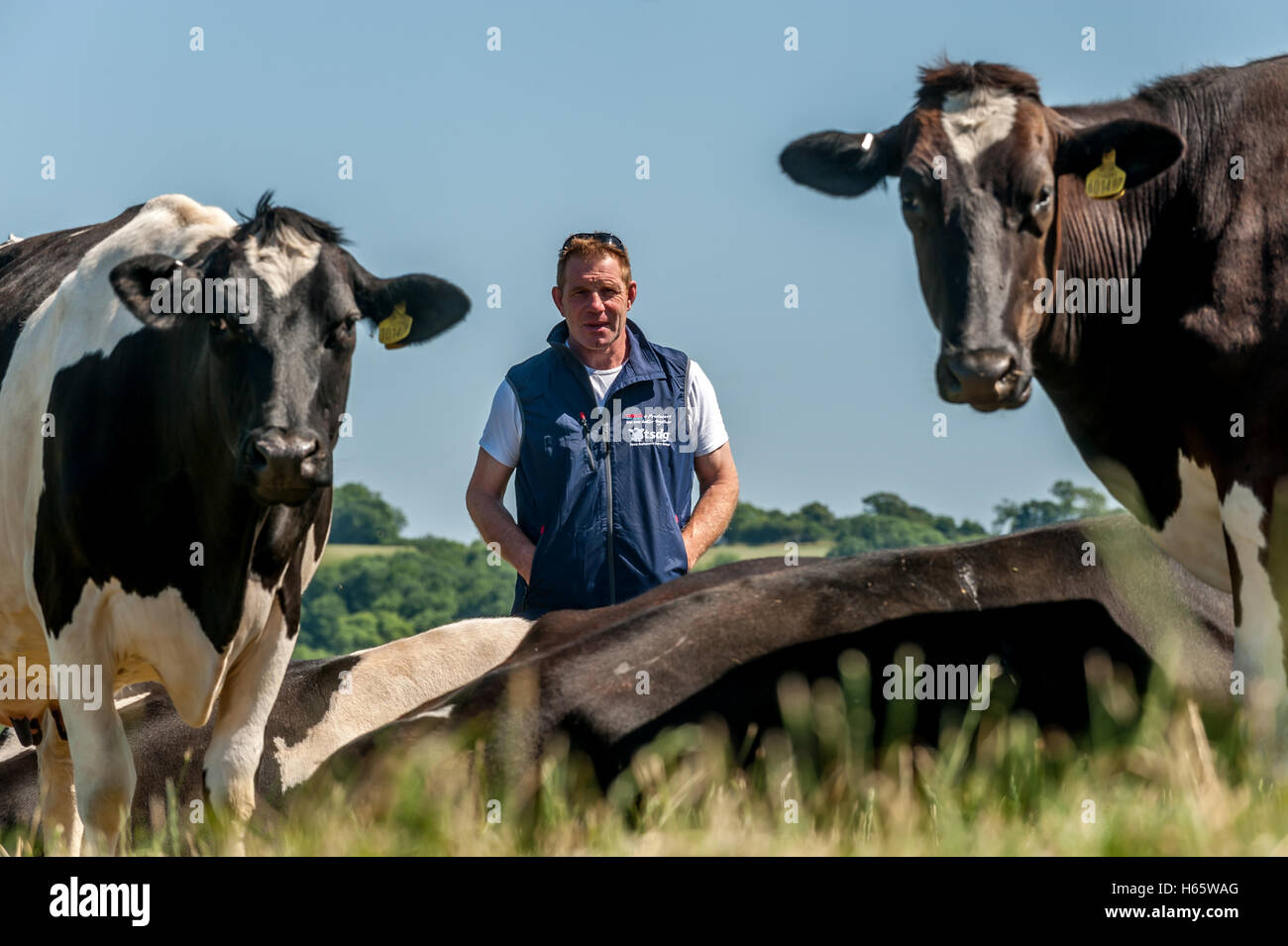 Farmer Ryan Haydon, of Offham Farm, Arundel, West Sussex, with some of ...