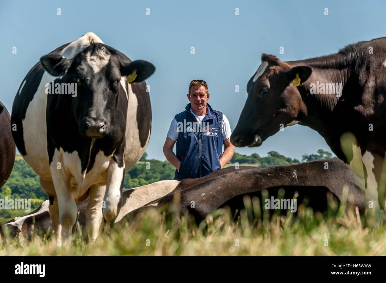 Farmer Ryan Haydon, of Offham Farm, Arundel, West Sussex, with some of ...