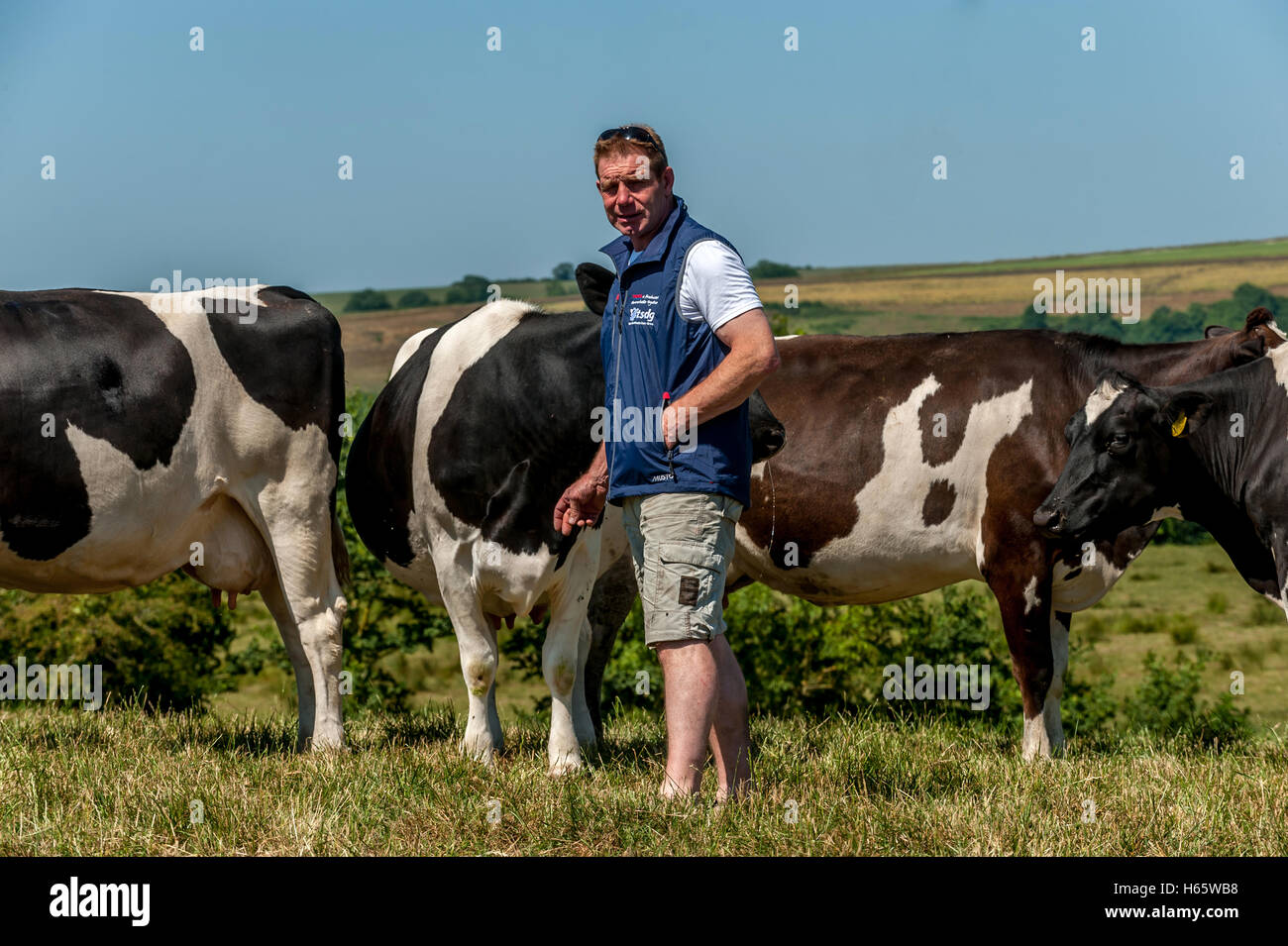 Farmer Ryan Haydon, of Offham Farm, Arundel, West Sussex, with some of ...