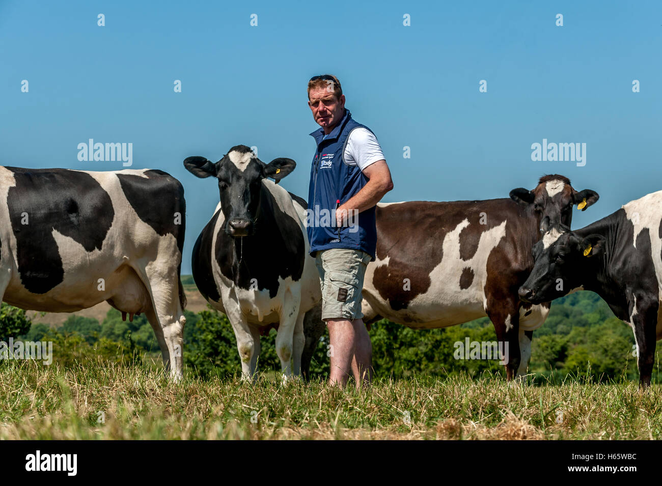 Farmer Ryan Haydon, of Offham Farm, Arundel, West Sussex, with some of ...