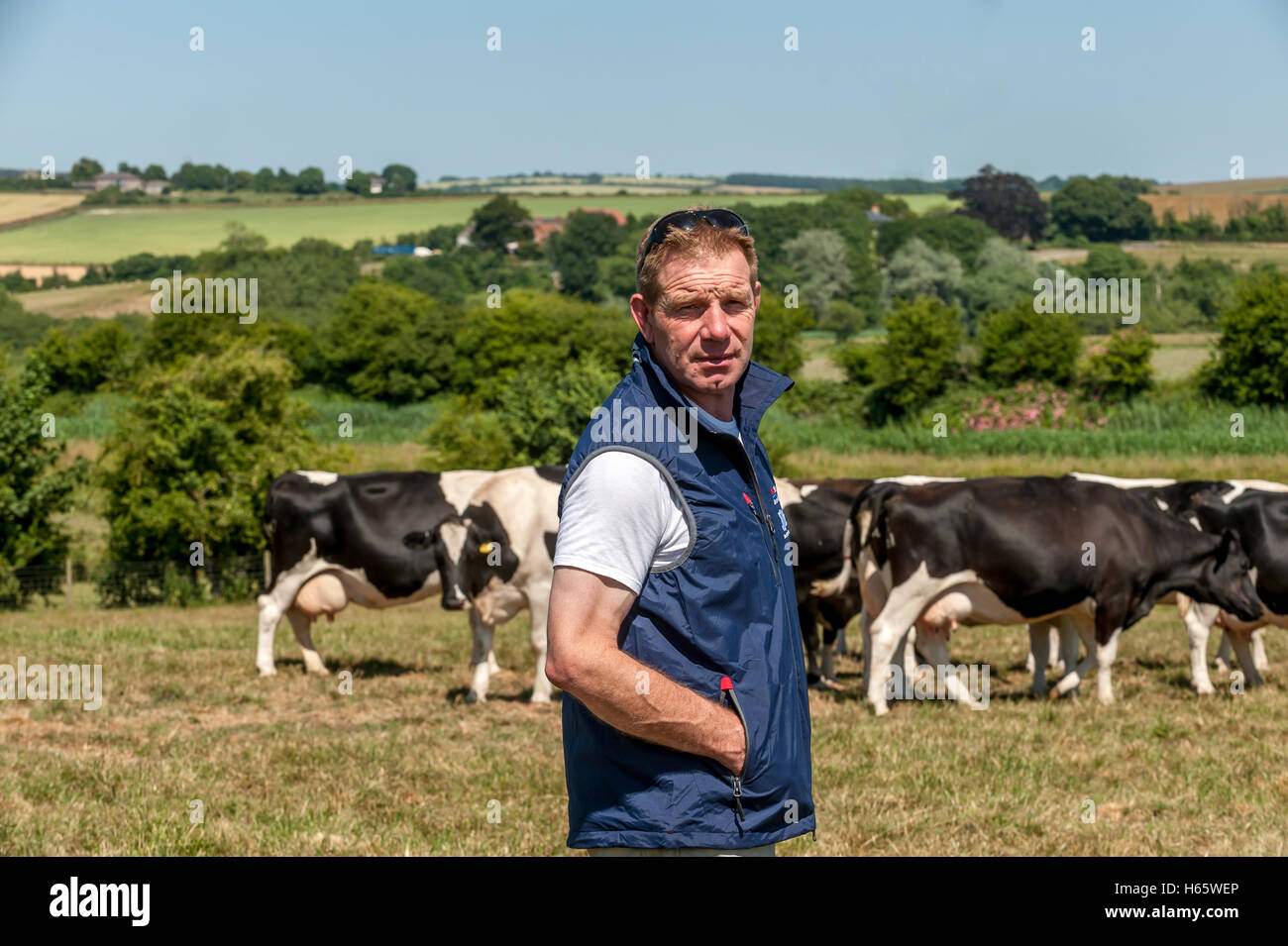 Haydon farm hi-res stock photography and images - Alamy