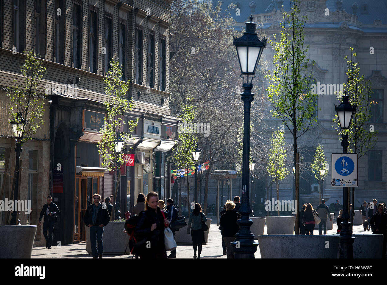 Szabo Ervin Library High Resolution Stock Photography and Images - Alamy