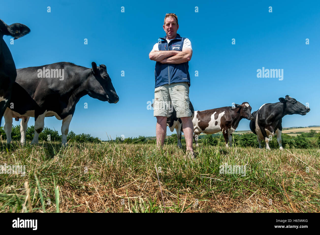 Haydon farm hi-res stock photography and images - Alamy