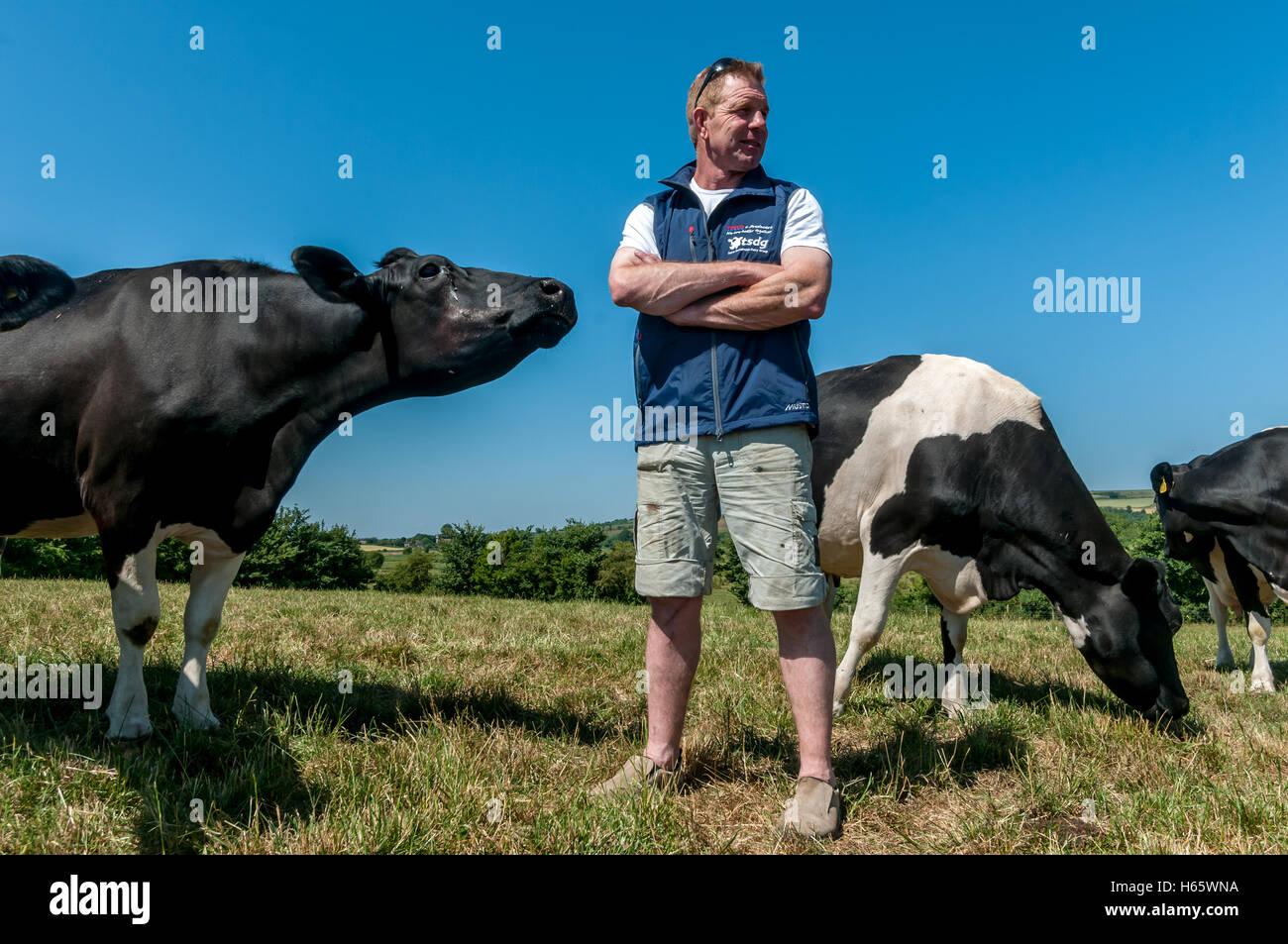 Farmer Ryan Haydon, of Offham Farm, Arundel, West Sussex, with some of ...