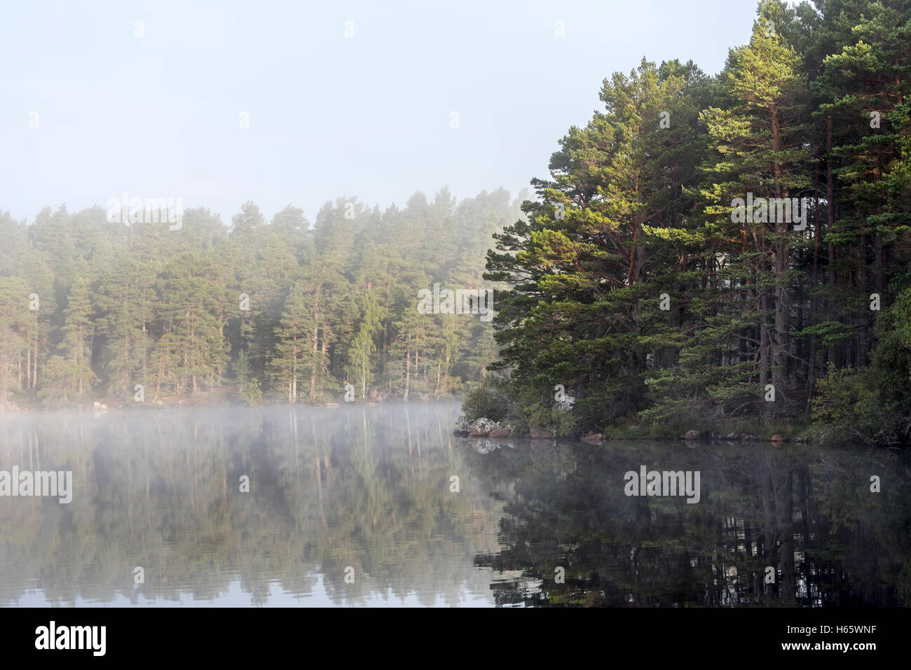 Abernethy scotland hi-res stock photography and images - Alamy
