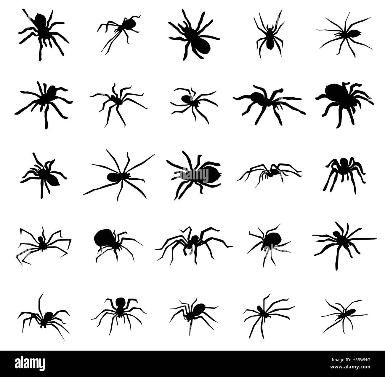 Spider silhouettes set Stock Vector Image & Art - Alamy