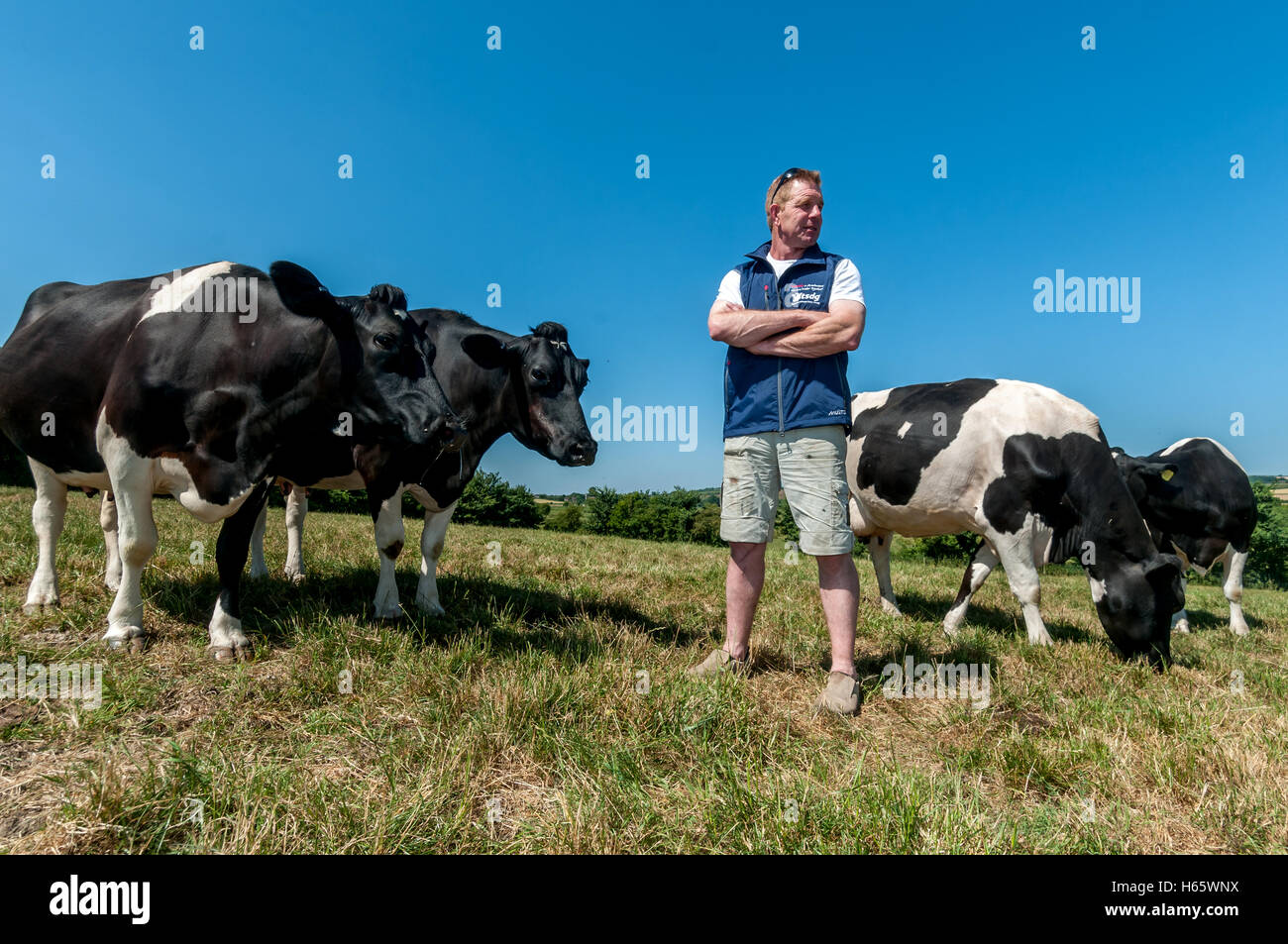 Farmer Ryan Haydon, of Offham Farm, Arundel, West Sussex, with some of ...