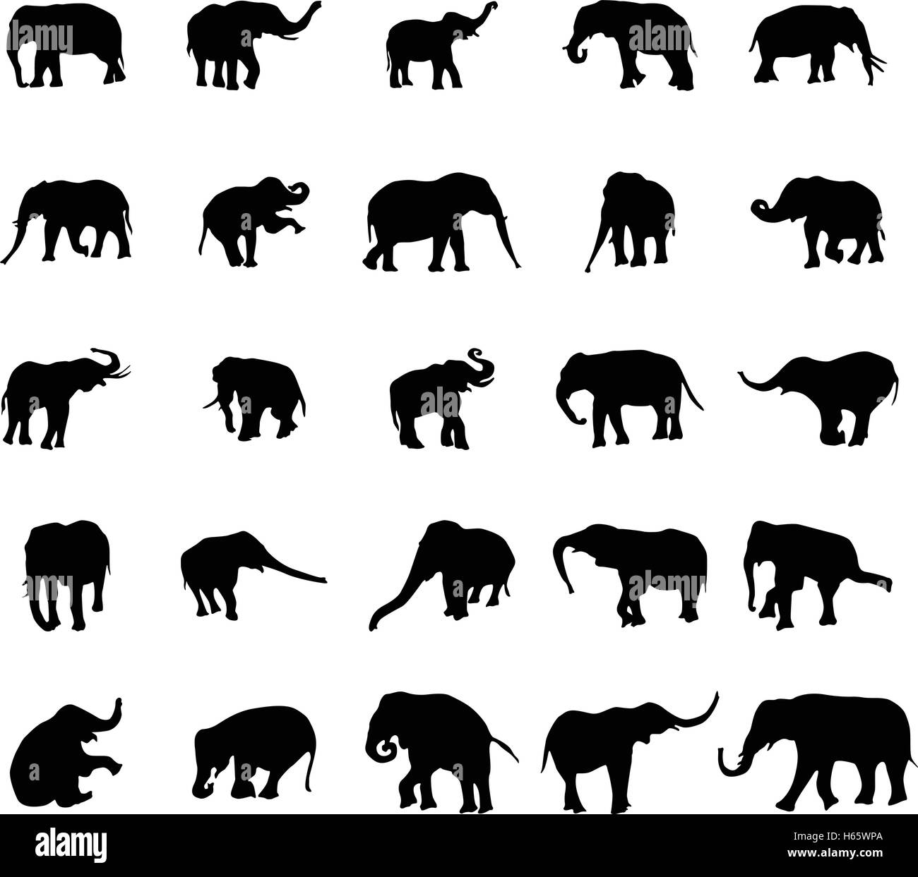 Ivory set Black and White Stock Photos & Images - Alamy