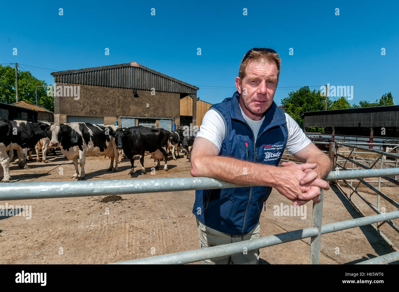 Farmer Ryan Haydon, of Offham Farm, Arundel, West Sussex, with some of ...