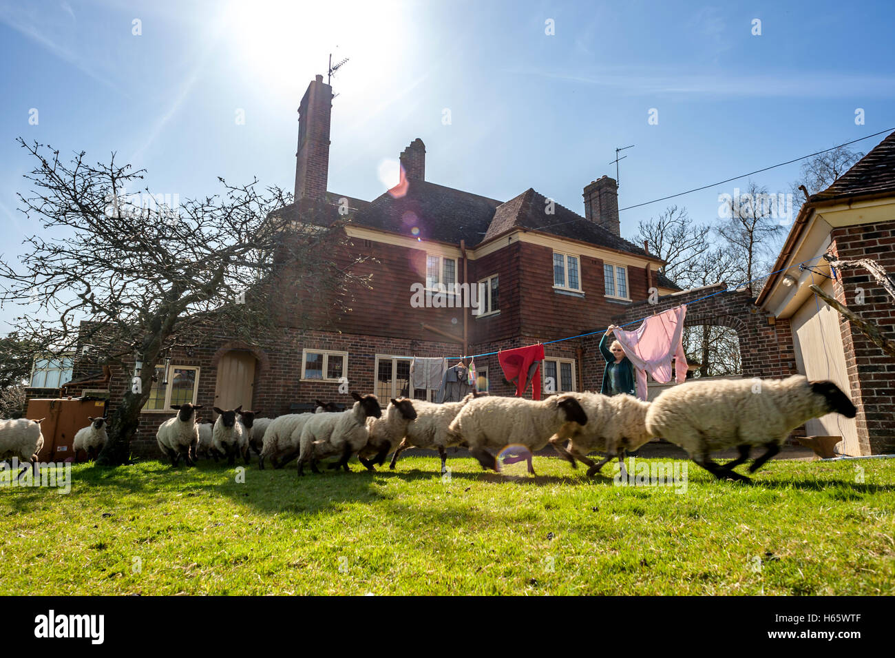 Chiddingly east sussex hi-res stock photography and images - Alamy