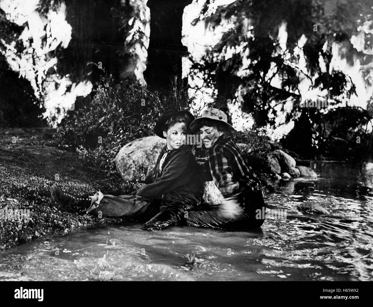 Feuerwehr waldbrand hi-res stock photography and images - Alamy