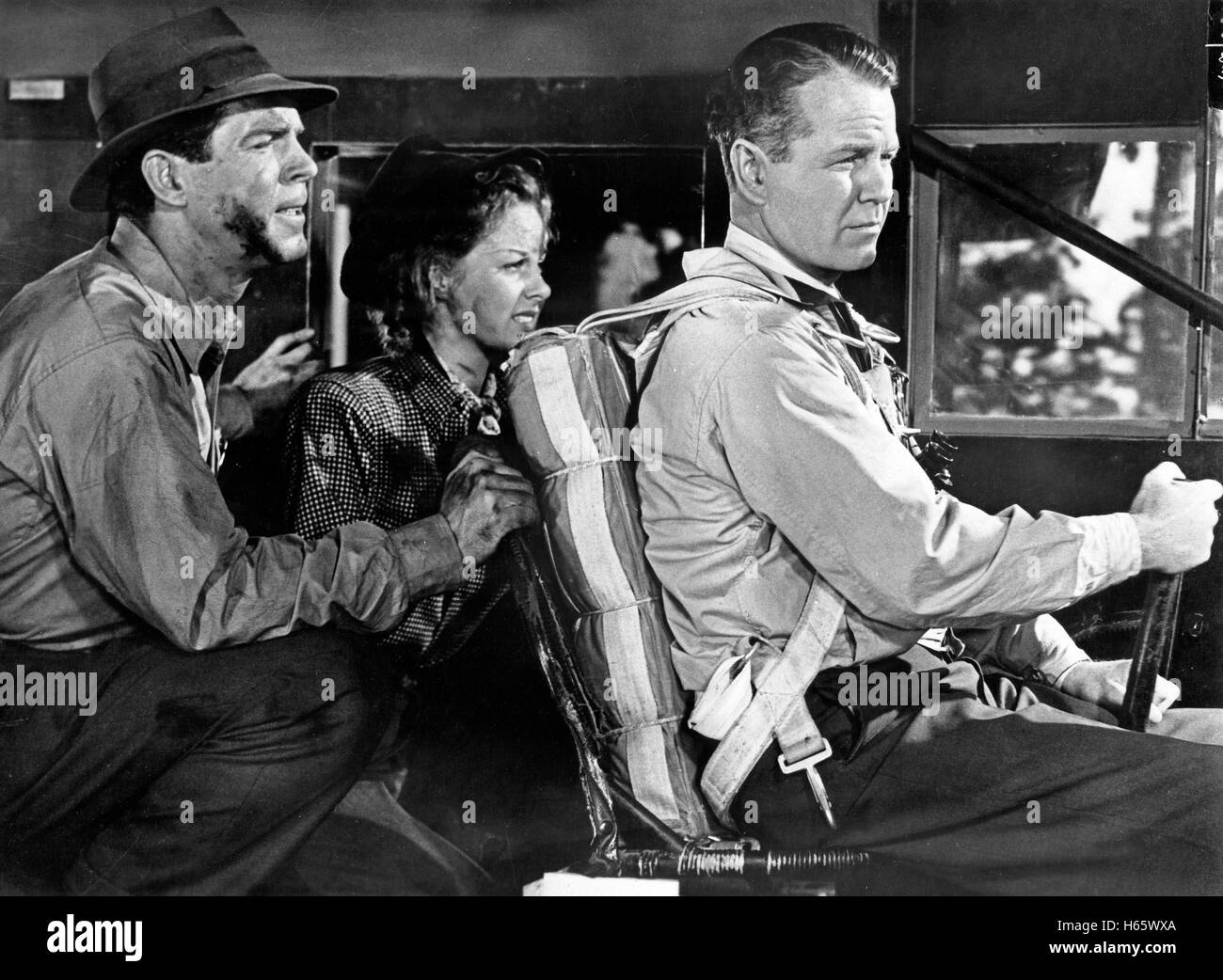 The Forest Rangers, aka: Lodernde Flammen, USA 1942, Regie: George ...