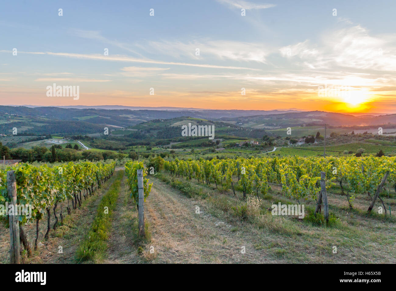 Chianti Golden Valley Sunset Stock Photo - Alamy