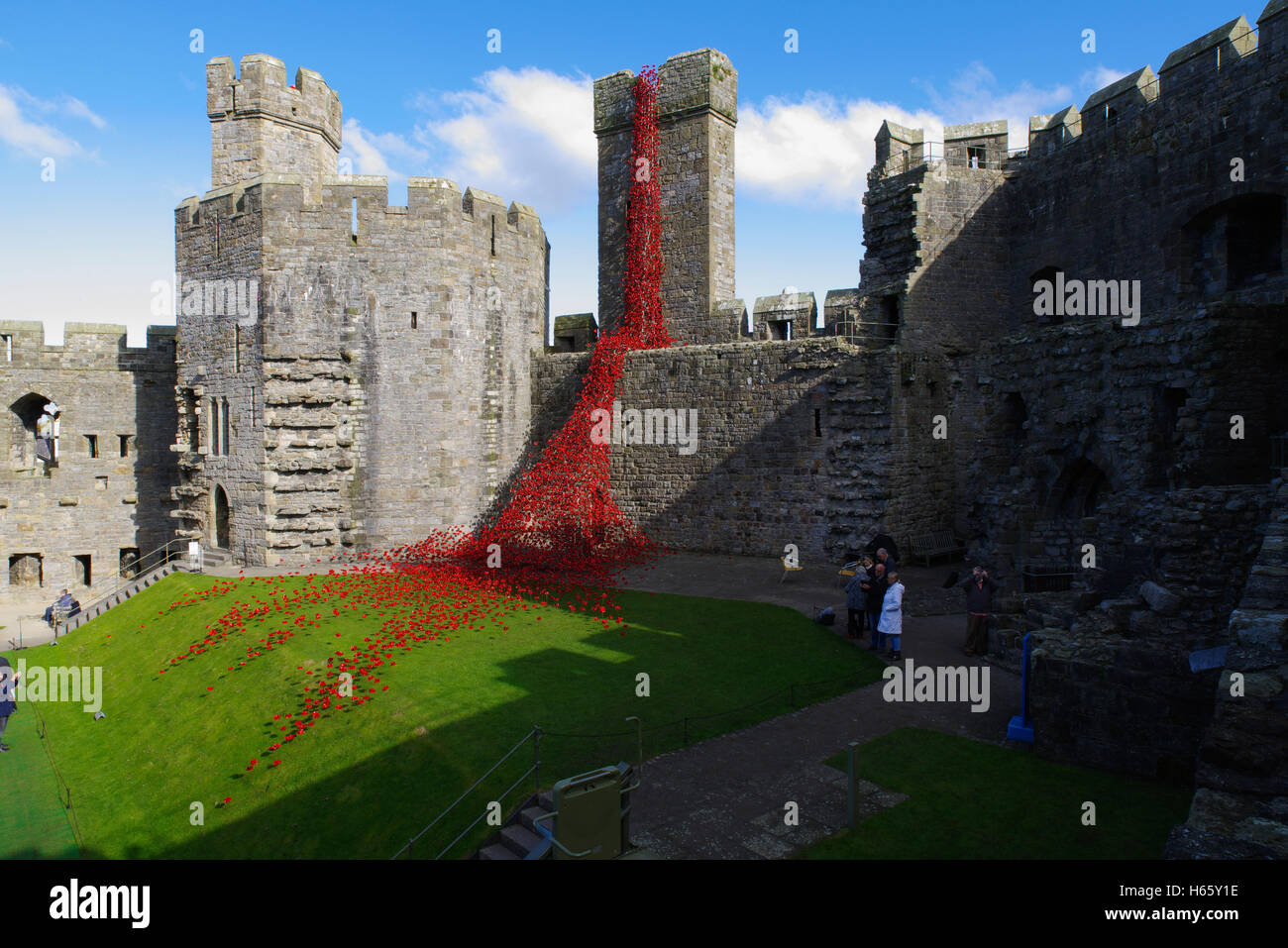 Weeping Window installation at Caernarfon Castle, Wales Stock Photo - Alamy