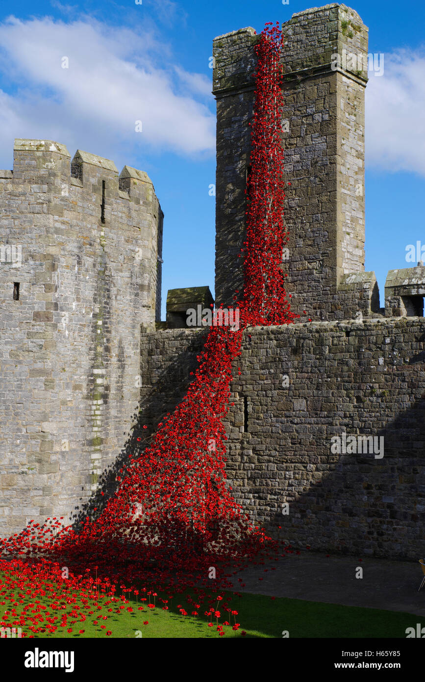 Weeping Window installation at Caernarfon Castle, Wales Stock Photo - Alamy
