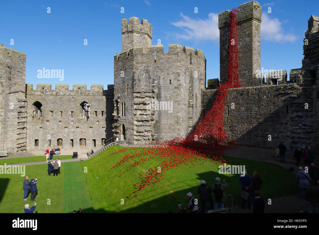 Weeping Window installation at Caernarfon Castle, Wales Stock Photo - Alamy
