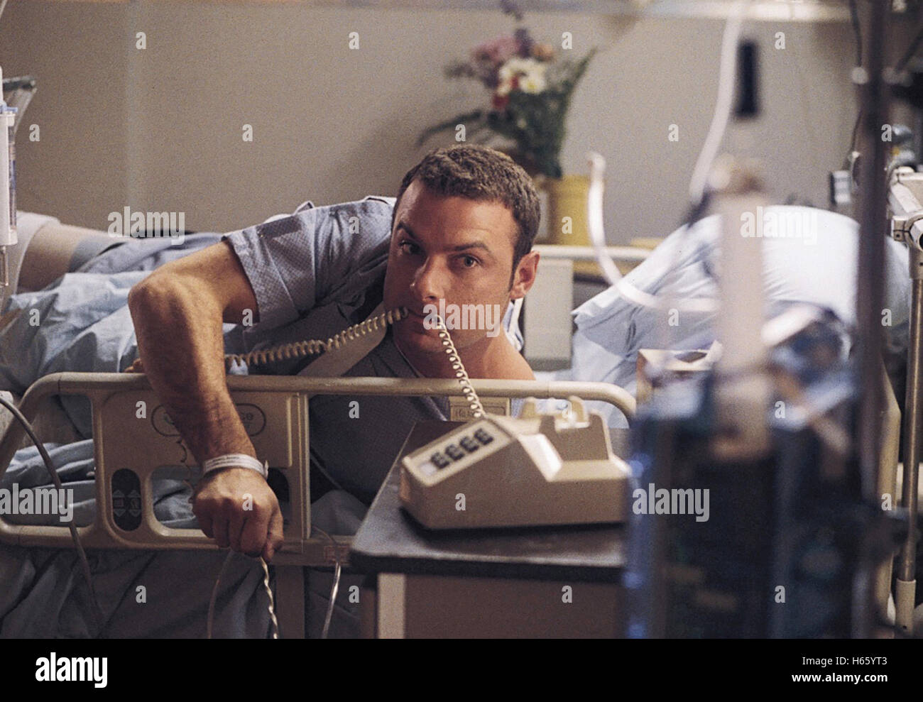 Kate And Leopold Liev Schreiber