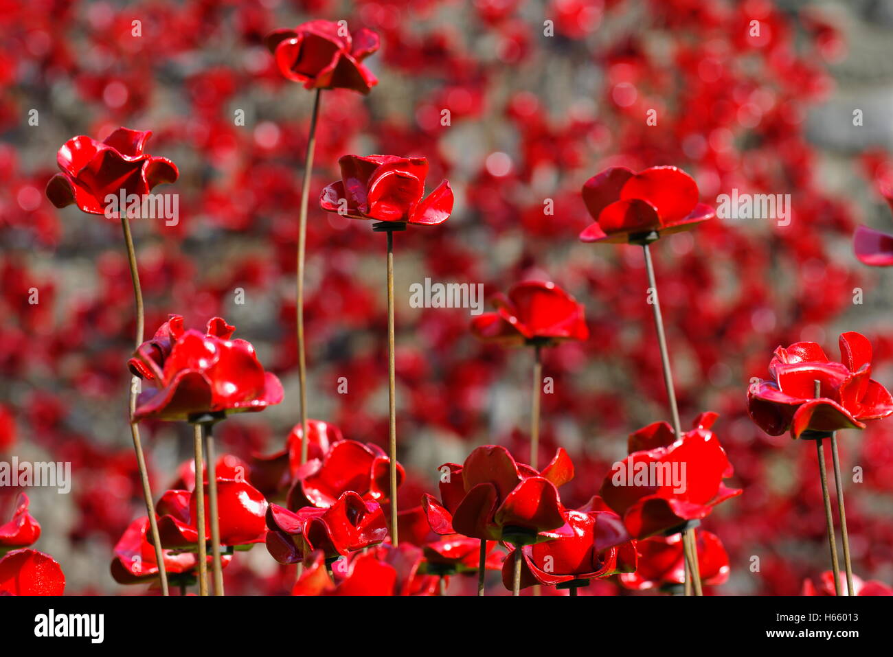 Weeping Window installation at Caernarfon Castle, Wales Stock Photo - Alamy