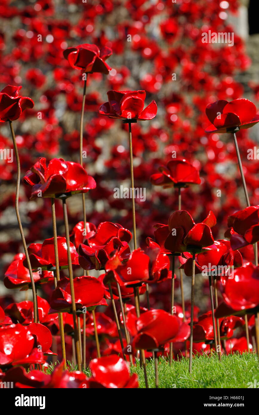 Weeping Window installation at Caernarfon Castle, Wales Stock Photo - Alamy
