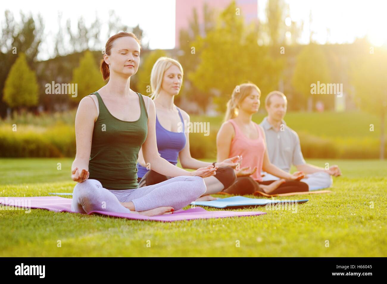 yoga group on the background of green grass Stock Photo - Alamy