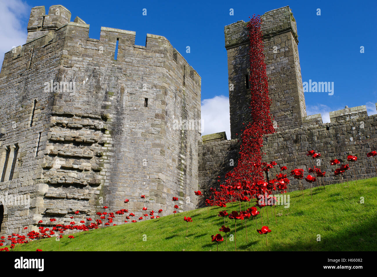 Weeping Window installation at Caernarfon Castle, Wales Stock Photo - Alamy