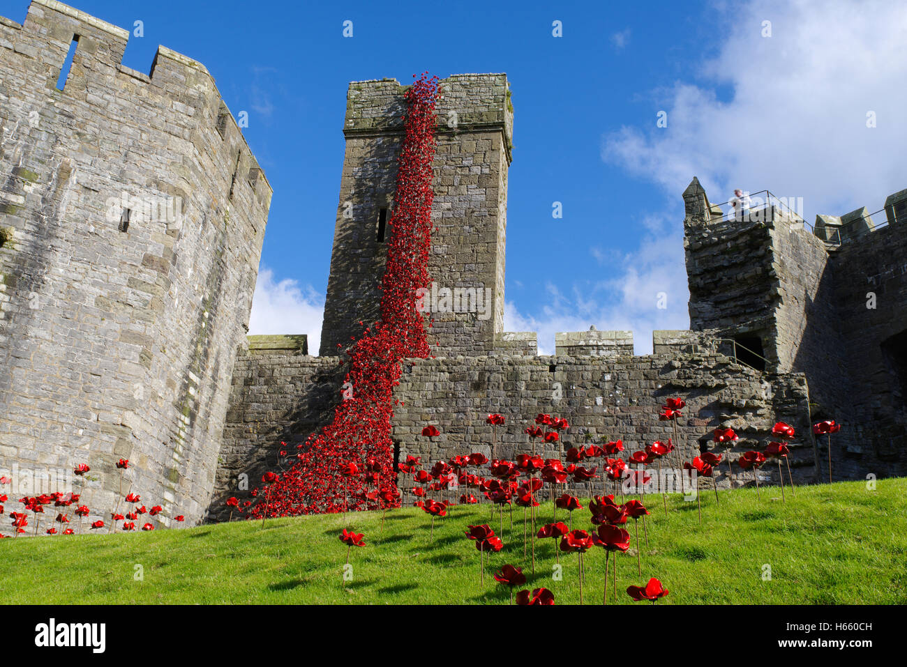 Weeping Window installation at Caernarfon Castle, Wales Stock Photo - Alamy