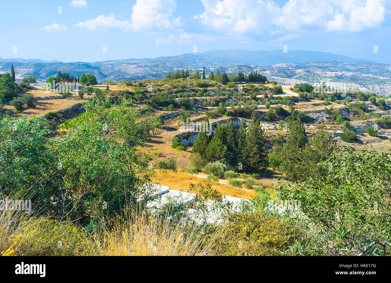 The agriculture lands in mountains of Cyprus with green fruit terraced ...