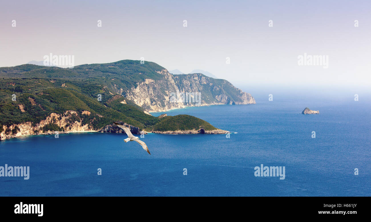 Corfu (Kerkyra) Island, Greece. Seagul and rocky cape Stock Photo - Alamy