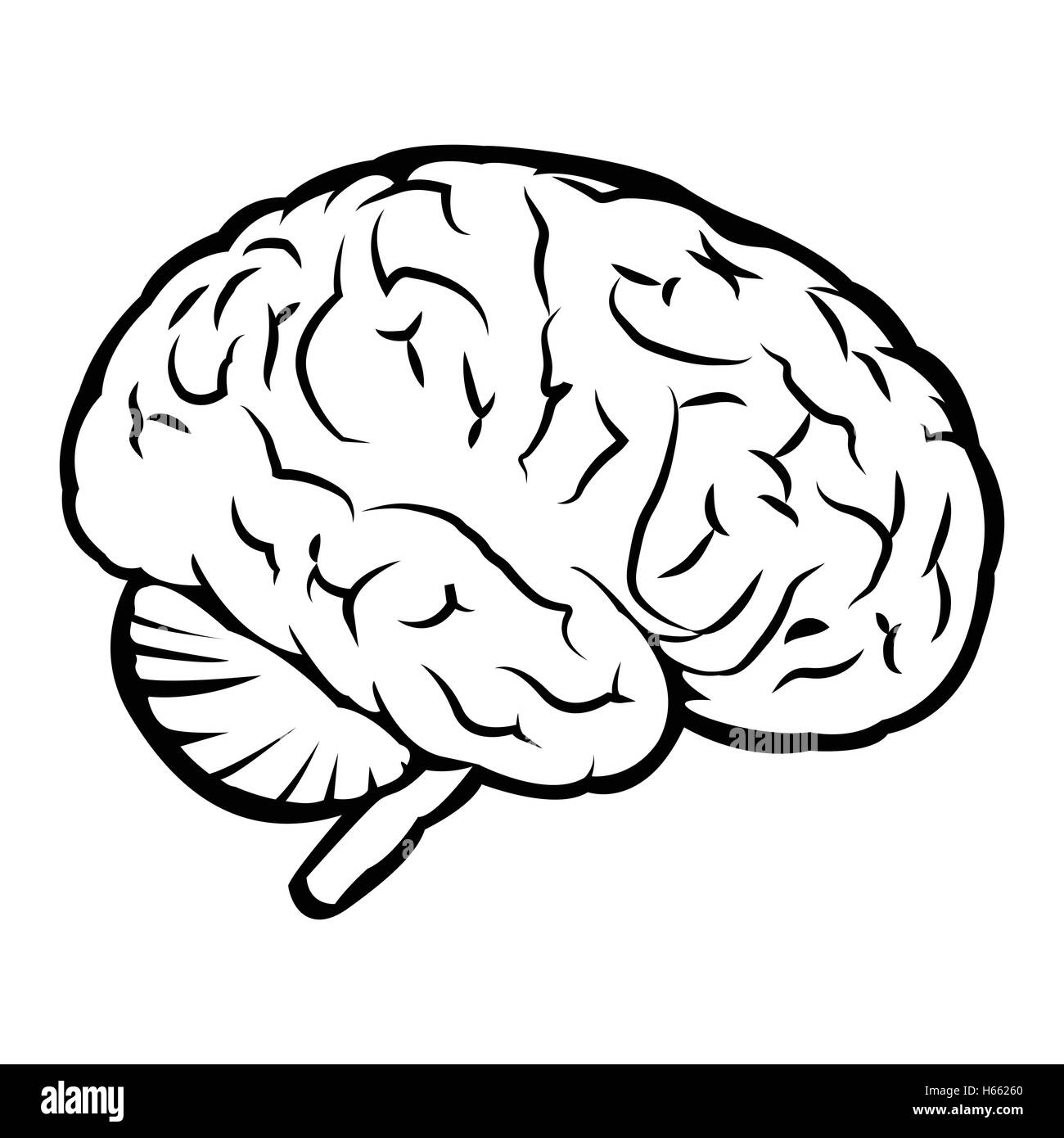 Best human brain sign Stock Vector Image & Art - Alamy