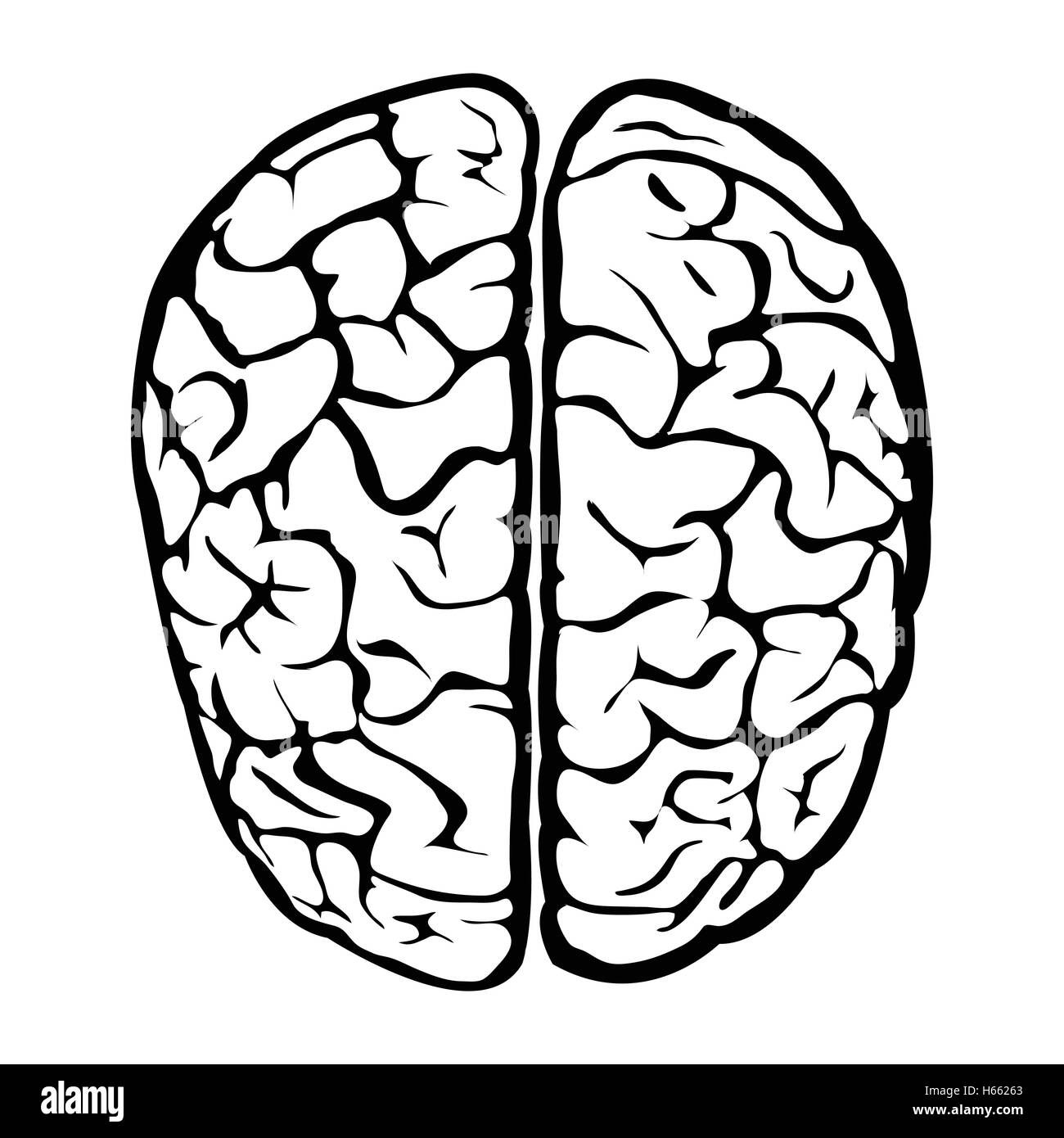 Nice human brain sign Stock Vector Image & Art - Alamy