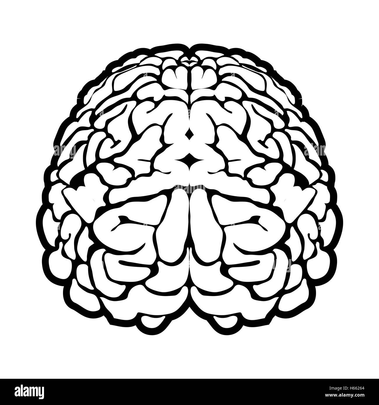 Unique human brain sign Stock Vector Image & Art - Alamy
