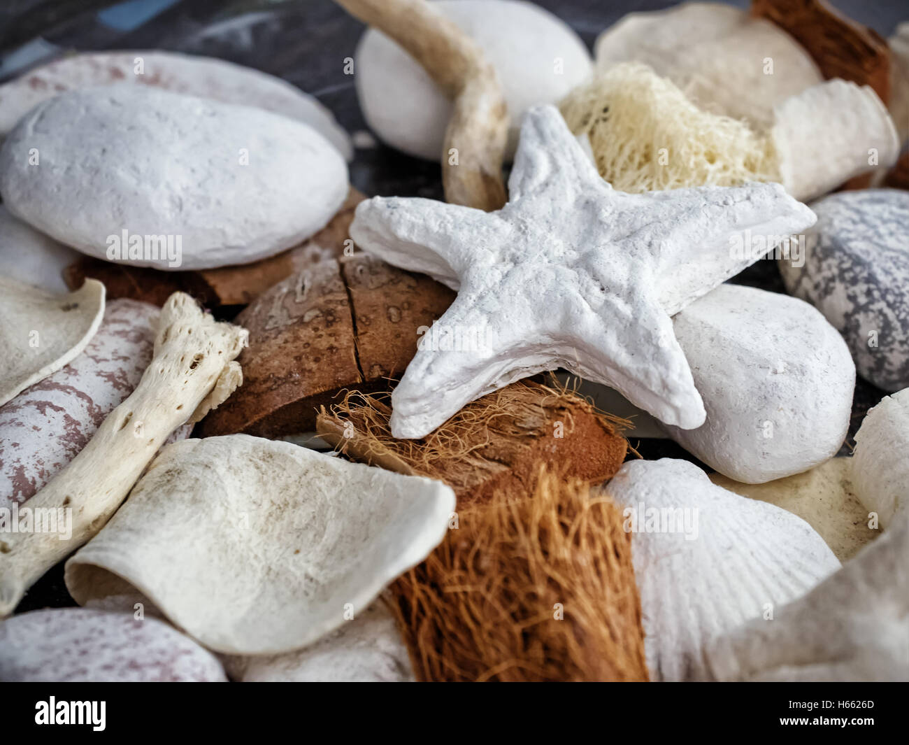 Maritime still life hi-res stock photography and images - Alamy