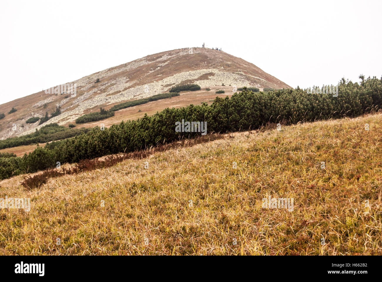 autumn mountain mead and Maly Krivan hill in Mala Fatra mountains in ...