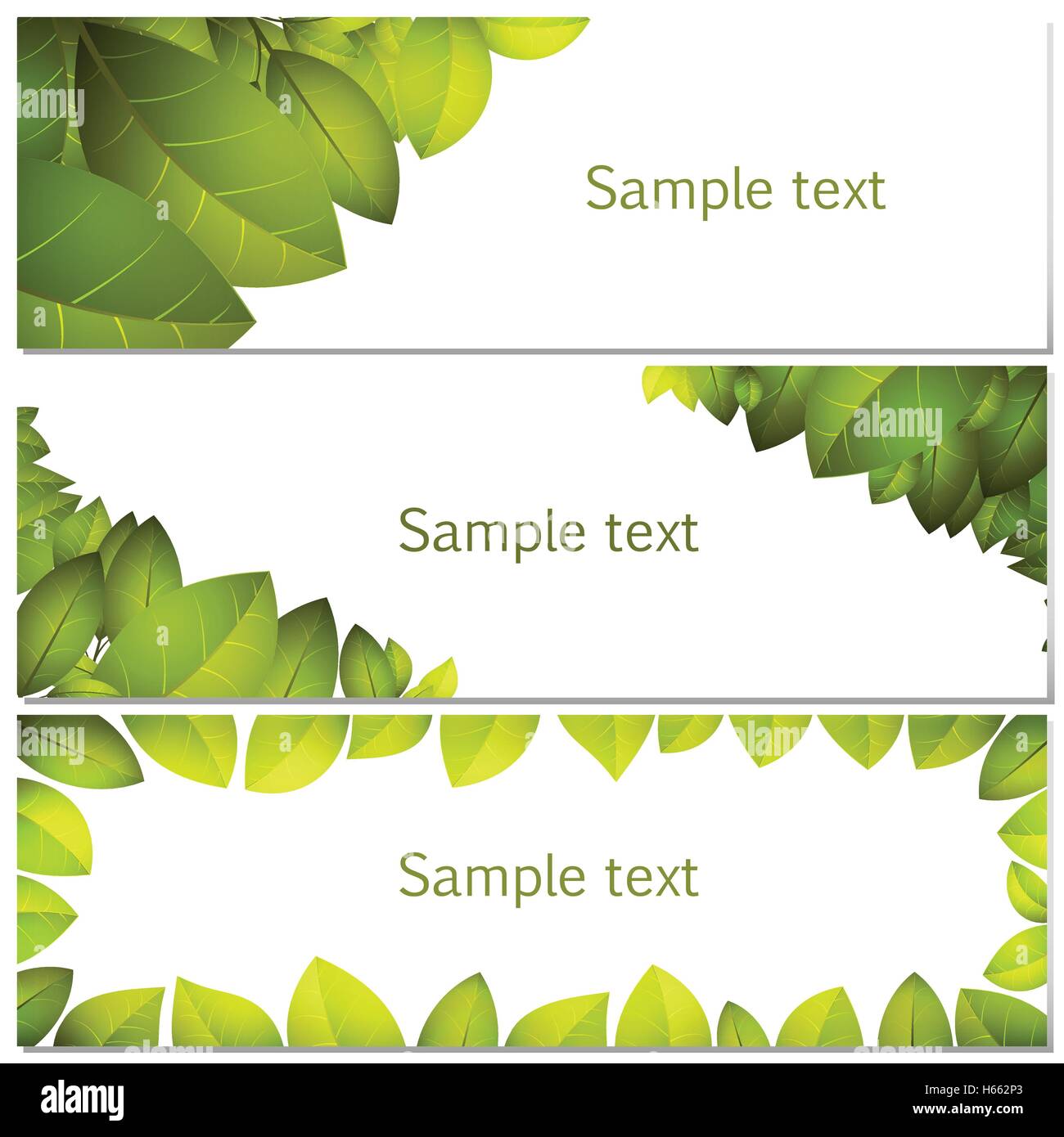 Green leaves banners set Stock Vector Image & Art - Alamy