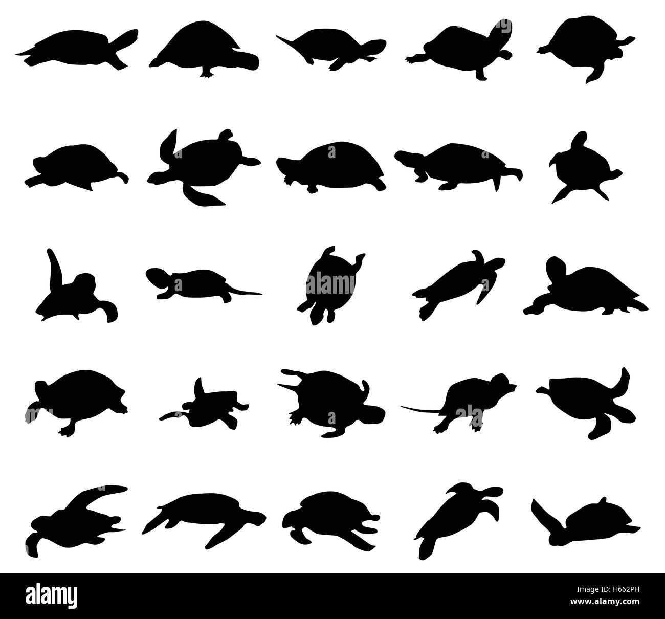 Tortoise Icon Outline Illustration Tortoise Stock Photos & Tortoise ...