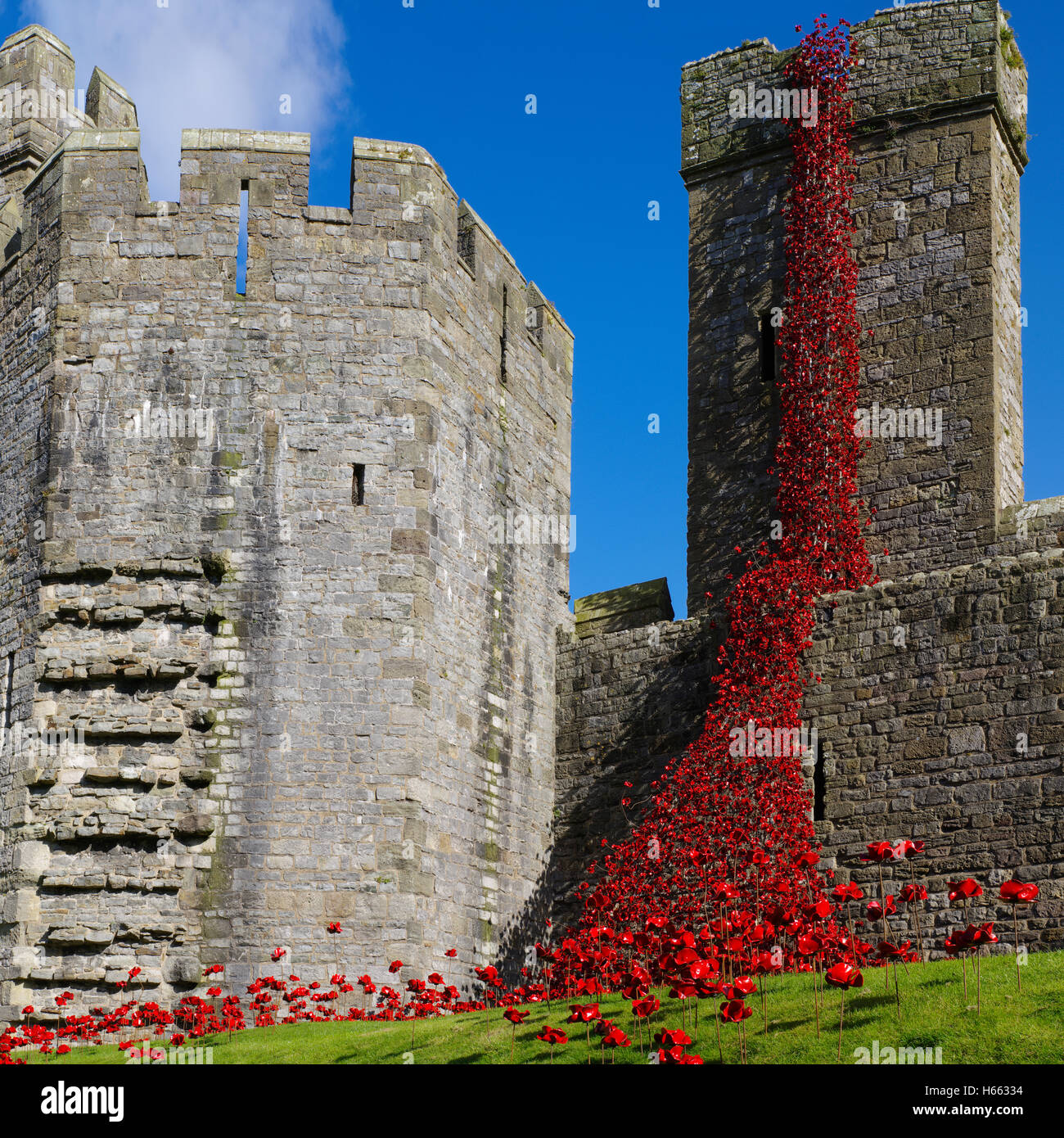 Weeping Cross High Resolution Stock Photography and Images - Alamy