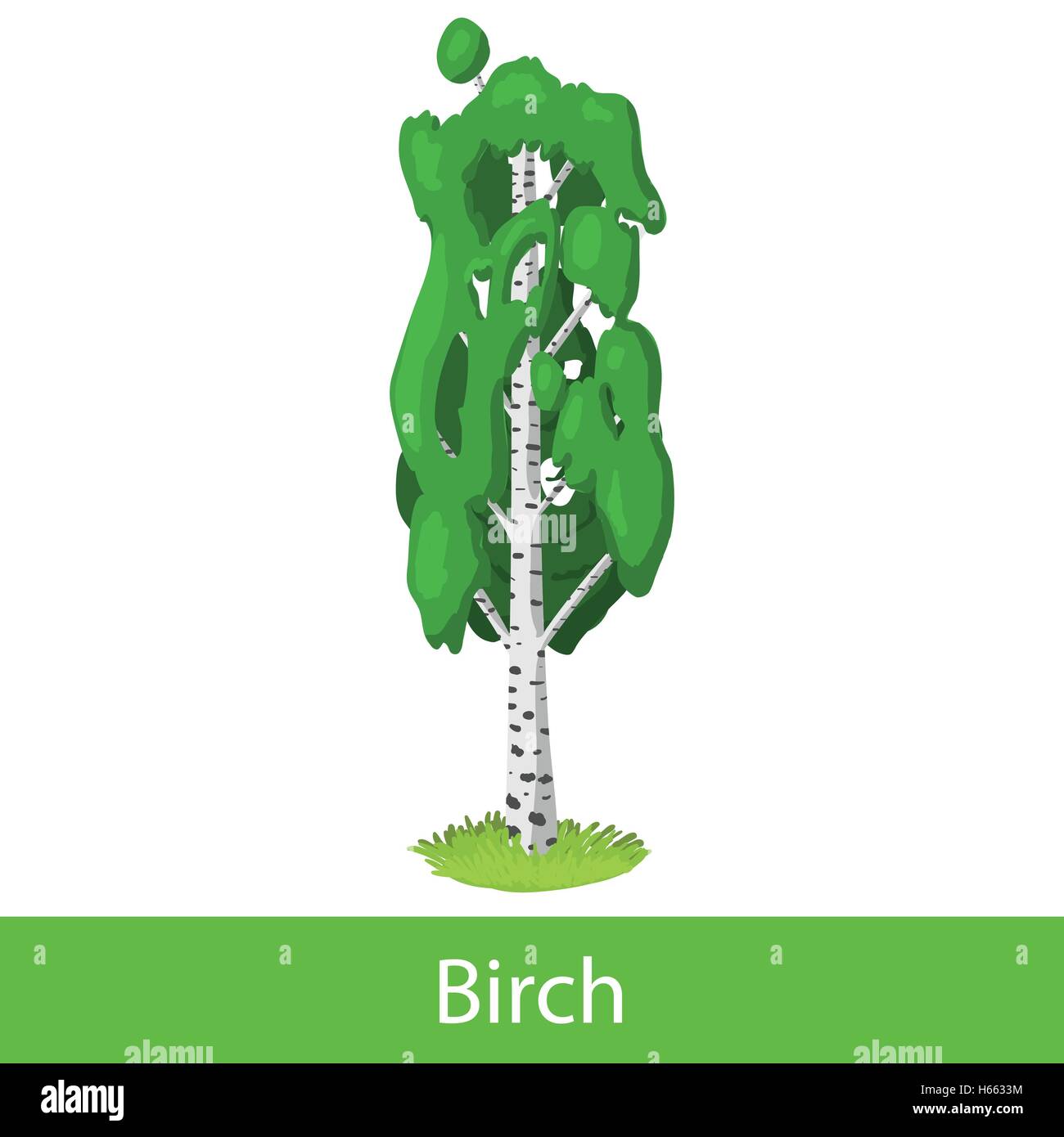 Birch cartoon tree Stock Vector Image & Art - Alamy