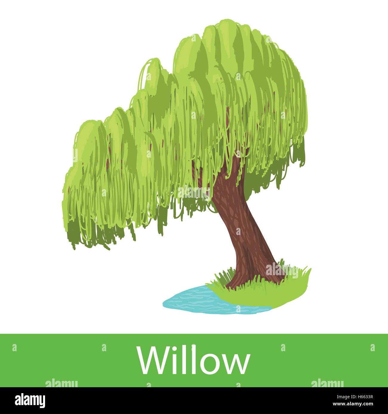 Willow Tree Illustration High Resolution Stock Photography and Images ...