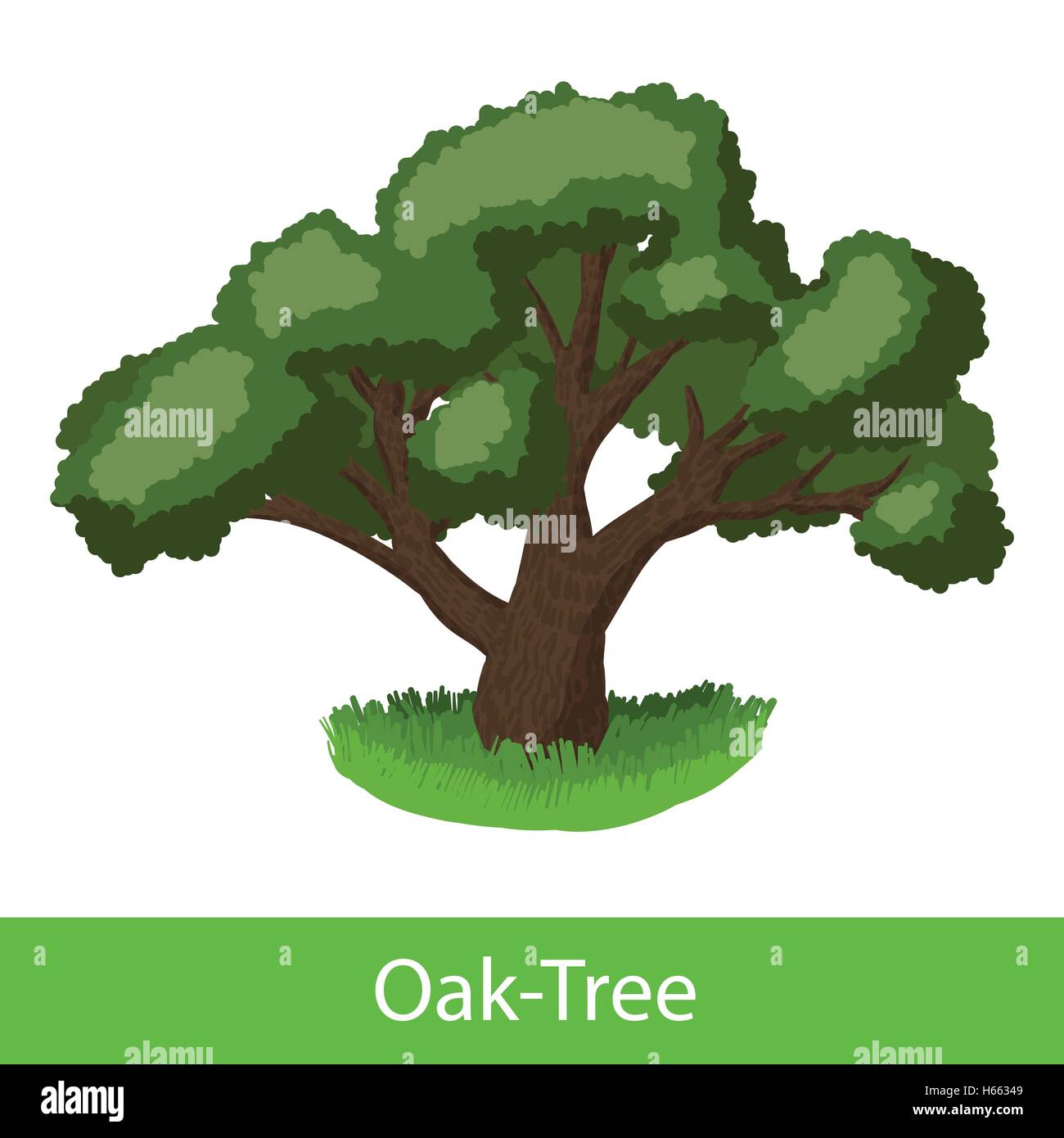 Oak-Tree cartoon icon Stock Vector Image & Art - Alamy