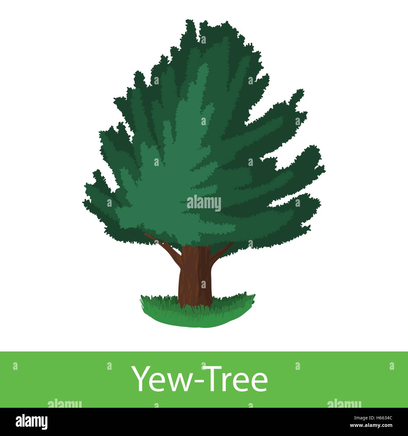 Yew-Tree cartoon icon Stock Vector Image & Art - Alamy