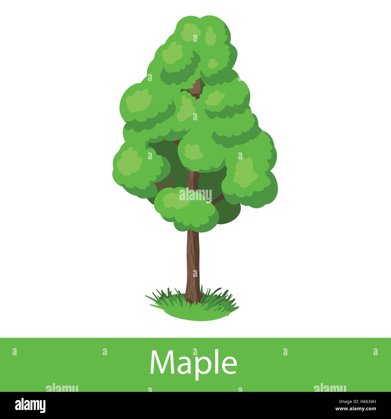 Maple cartoon tree Stock Vector Image & Art - Alamy