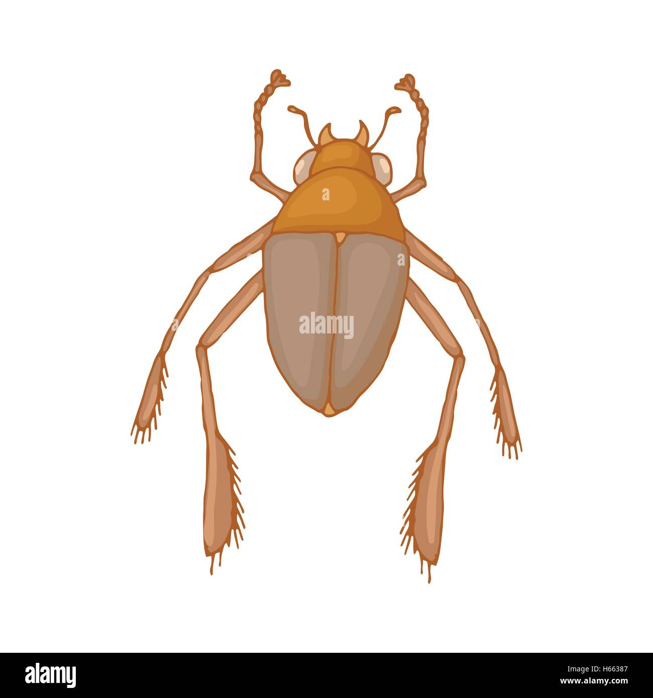 Insect bug icon, cartoon style Stock Vector Image & Art - Alamy