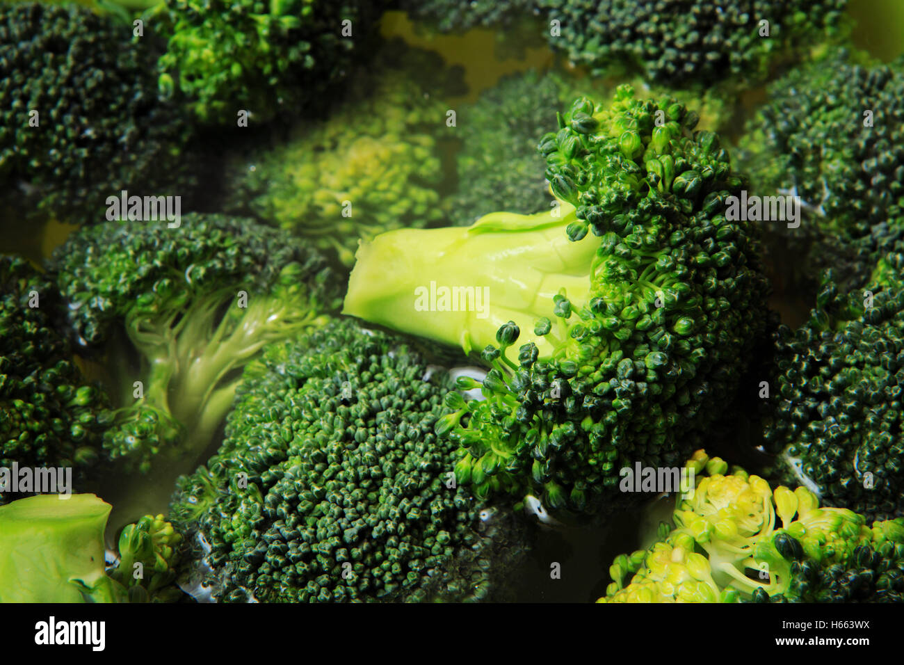 Broccoli texture hi-res stock photography and images - Alamy