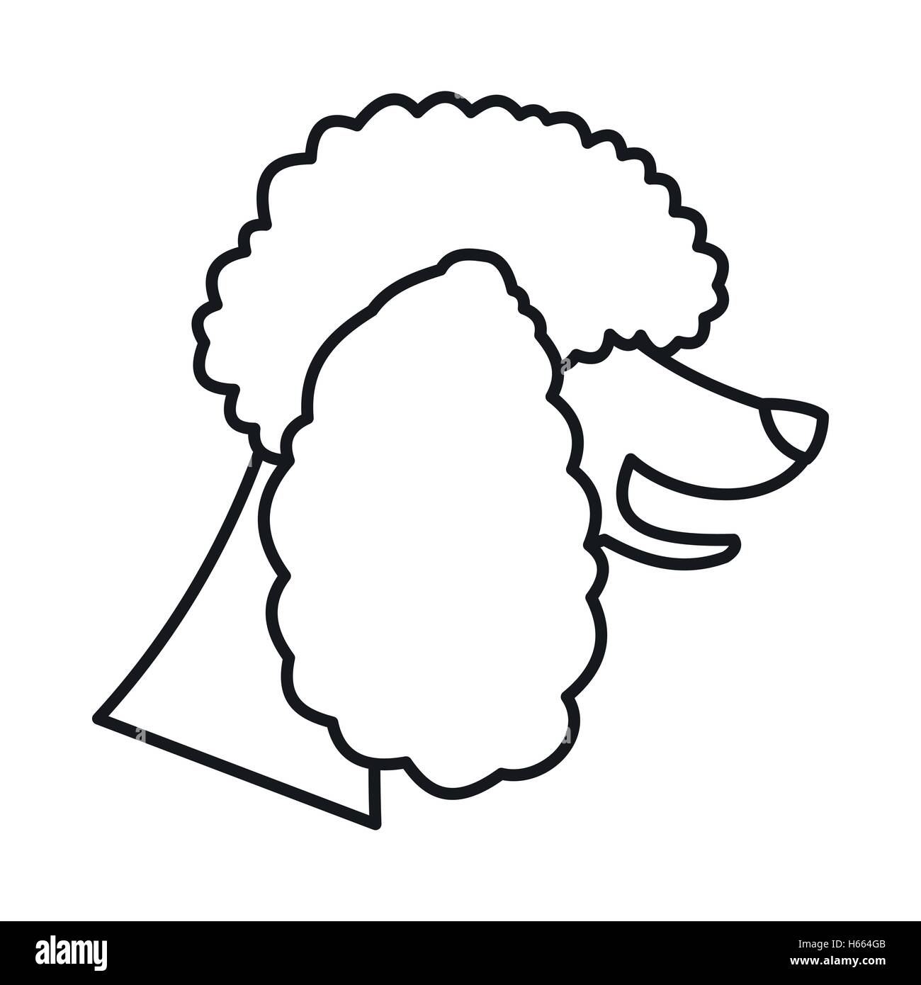 Poodle dog icon, outline style Stock Vector Image & Art - Alamy
