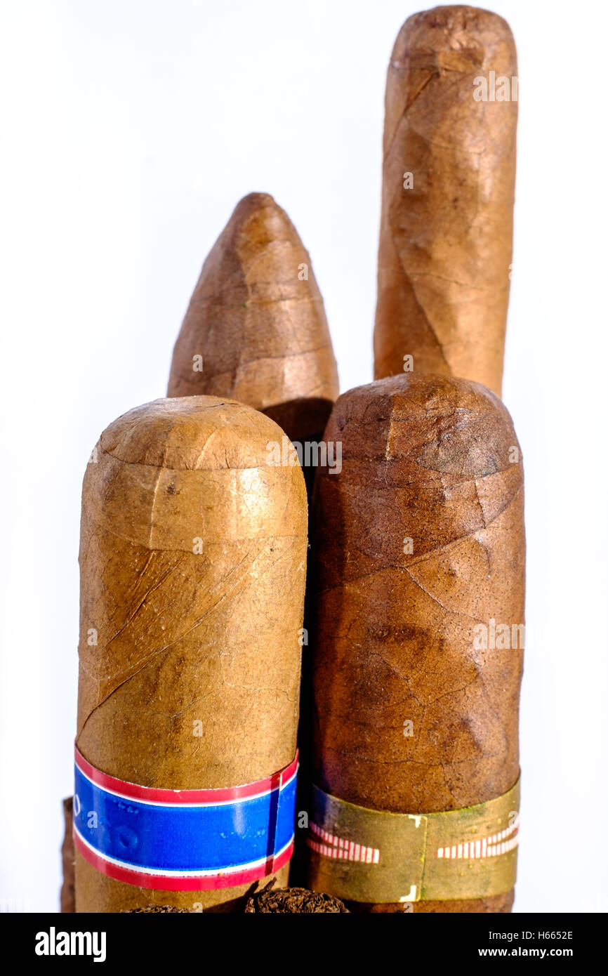 Head of Cuban cigars vertically Stock Photo - Alamy