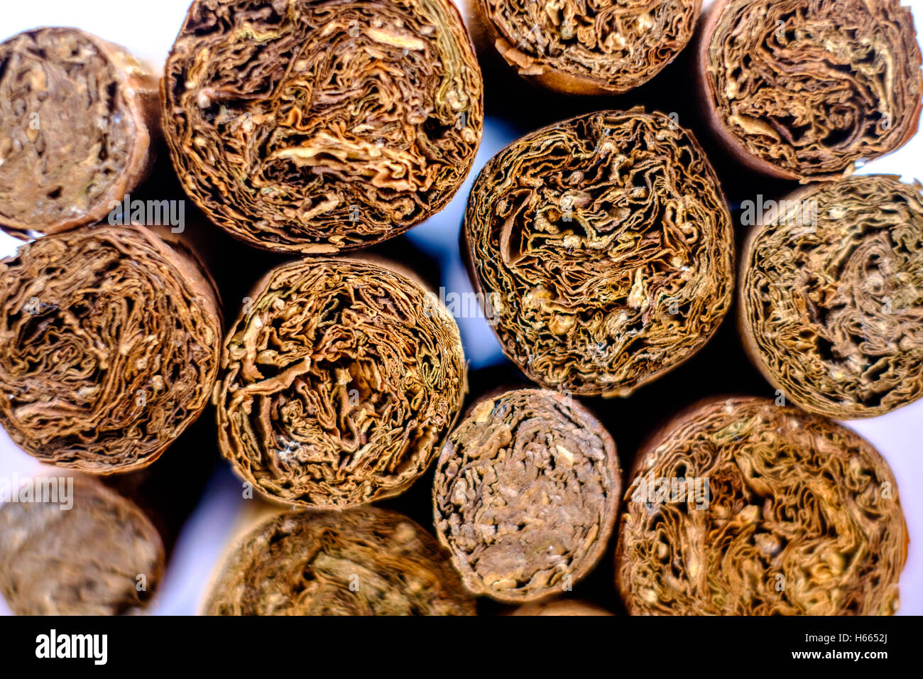 Feet of Cuban cigars. hand-rolled tobacco leaves Stock Photo - Alamy