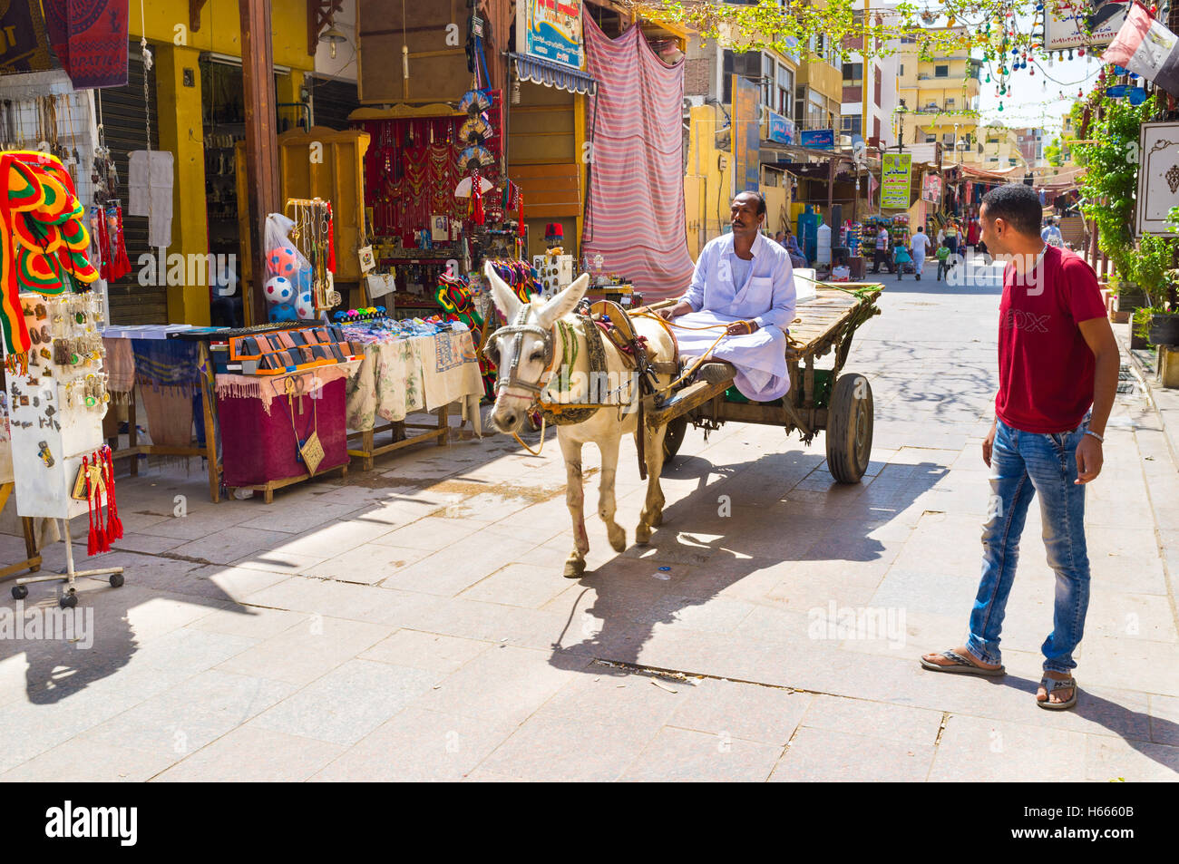 The donkey-drawn cart on the market street Stock Photo - Alamy